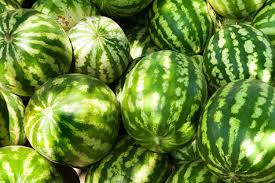 Watermelon Object Detection Dataset by jxmel