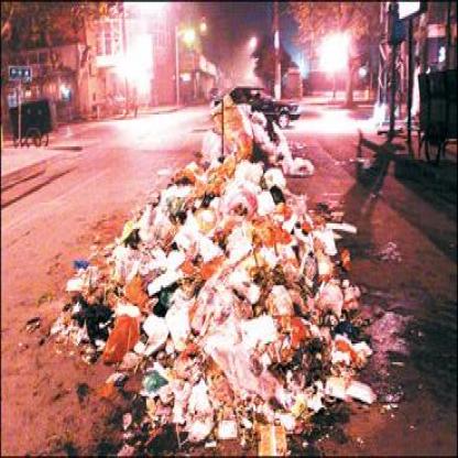 trash detection Object Detection Model by college