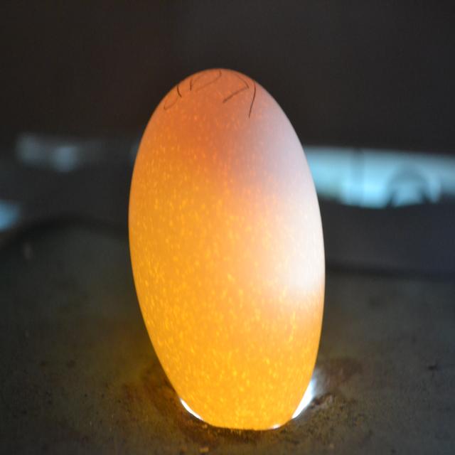 Egg testing data Object Detection Dataset by Ez Trainees