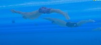 Underwater Drowning Detection - Roboflow Universe