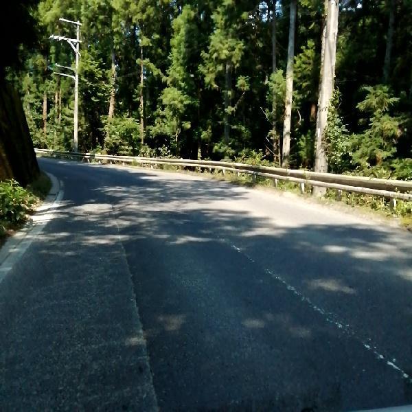 Pd Object Detection Model By Amacclipa