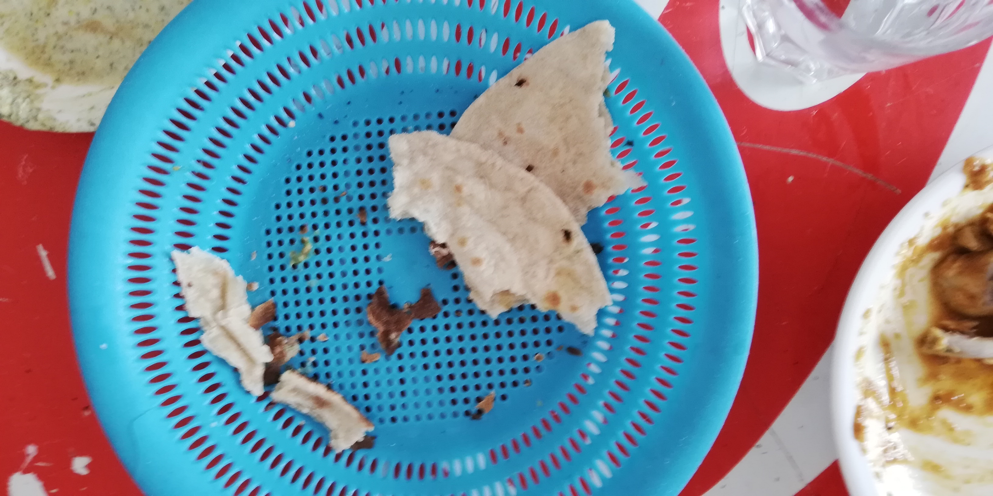 Food Wastage Instance Segmentation Dataset by Segmentation