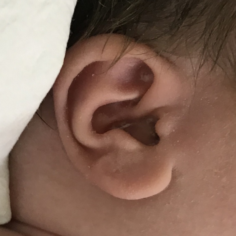 testing_dt Object Detection Dataset and Pre-Trained Model by Testing