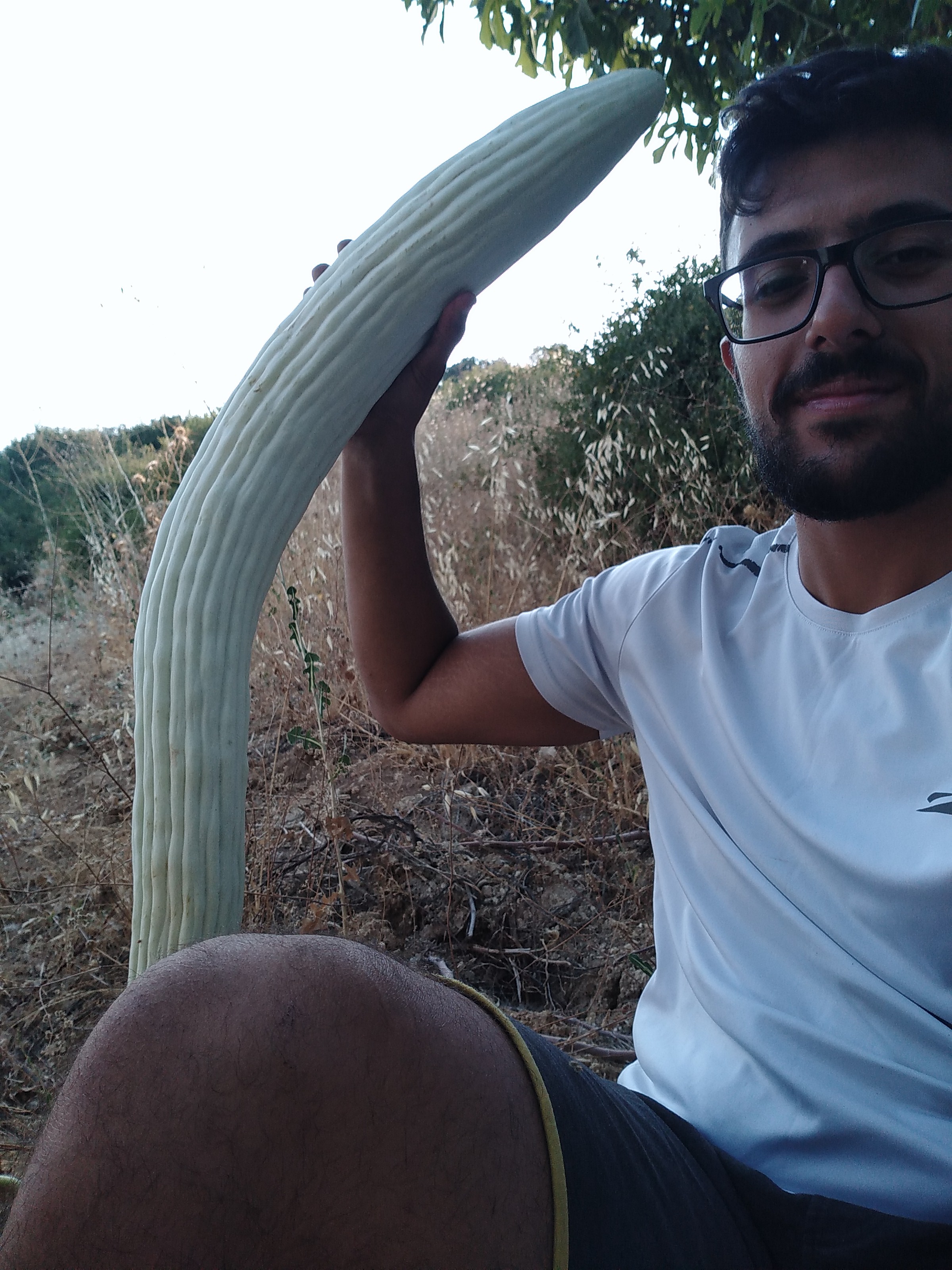 peopleDetector Object Detection Dataset by Charbel Daher