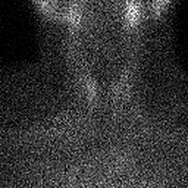 A v2 Classification Dataset by FYP