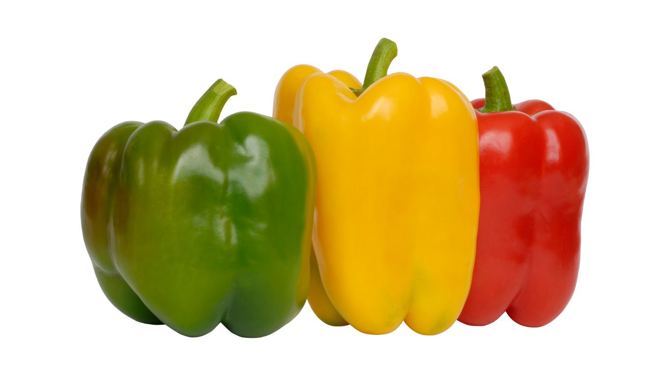 Bell Pepper Object Detection Object Detection Dataset By Pubnya Tuasikal
