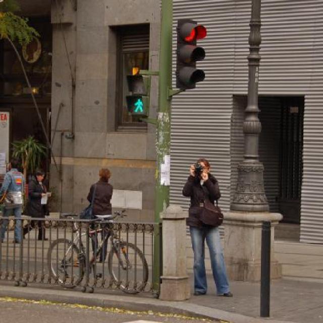 Pedestrian Traffic Light Object Detection Dataset By Pedestrian Traffic