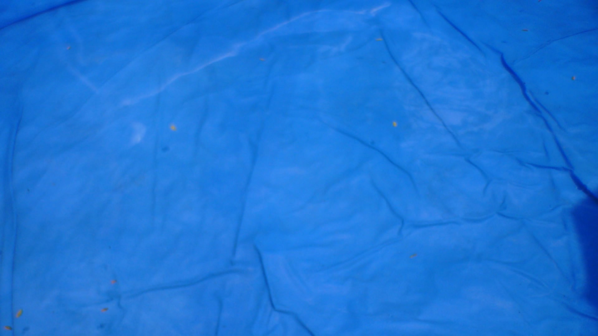 How to Use the OilSpill_1 Instance Segmentation API