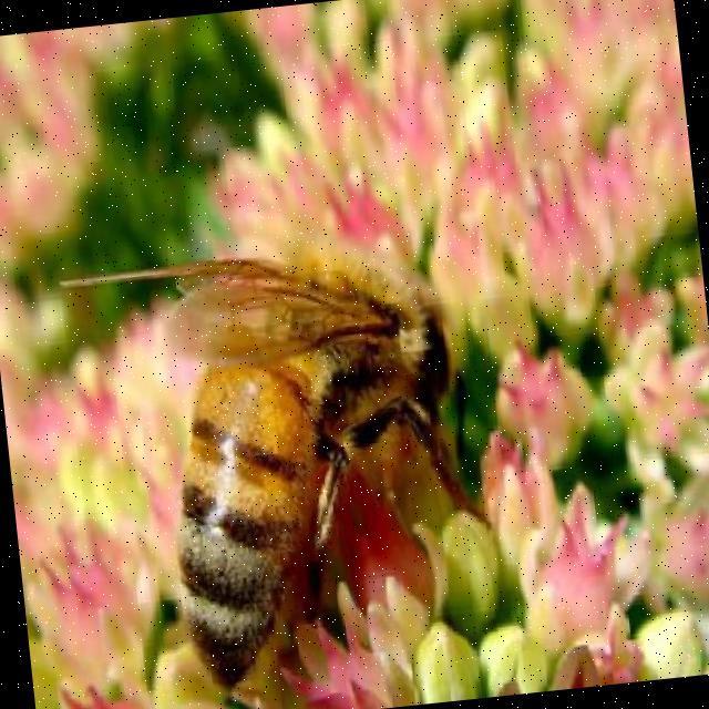 Bees Dataset Roboflow Universe