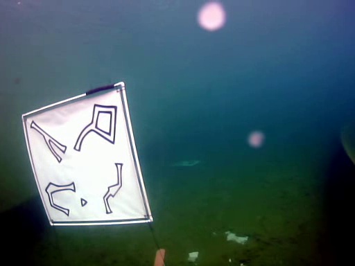 Robosub Gate v0 Object Detection Model by Personal Workplace