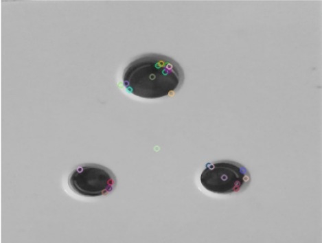 socket_type Classification Dataset and Pre-Trained Model by roshan thorat