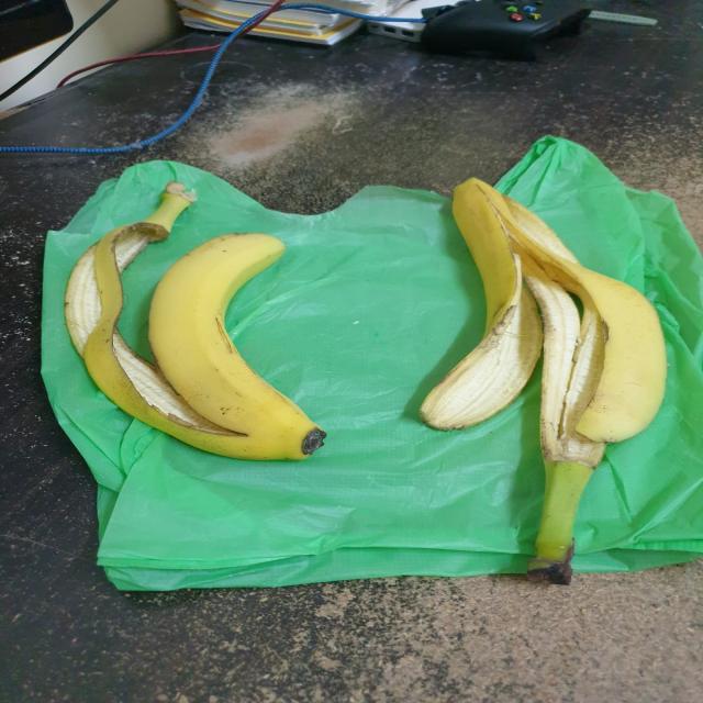 banana peel Object Detection Model by Gustas