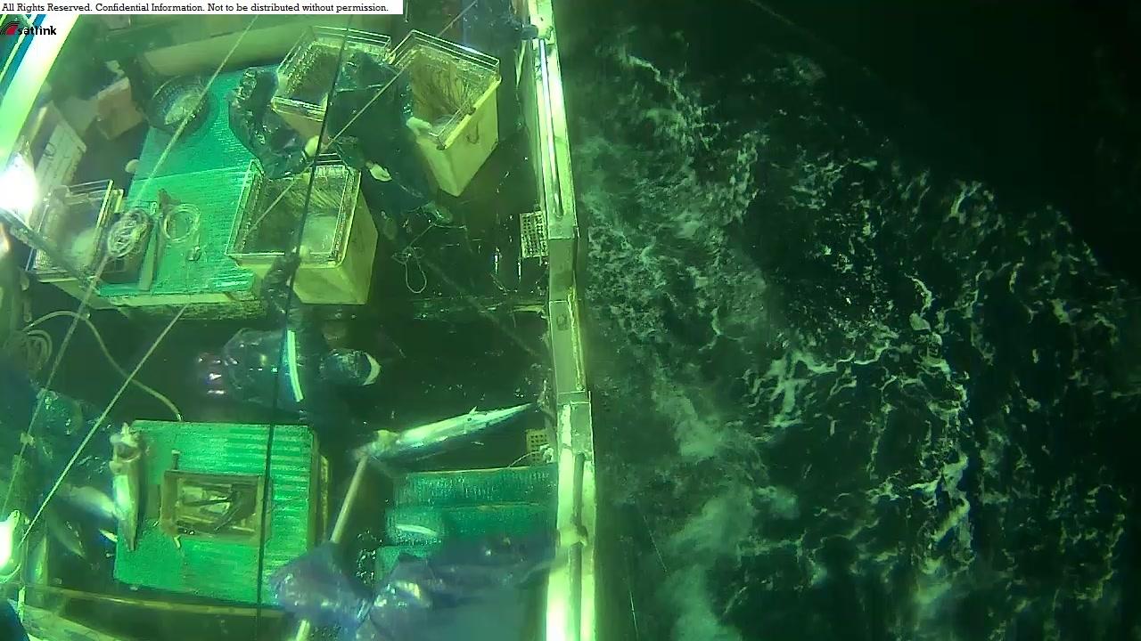 fish Object Detection Dataset by ensias