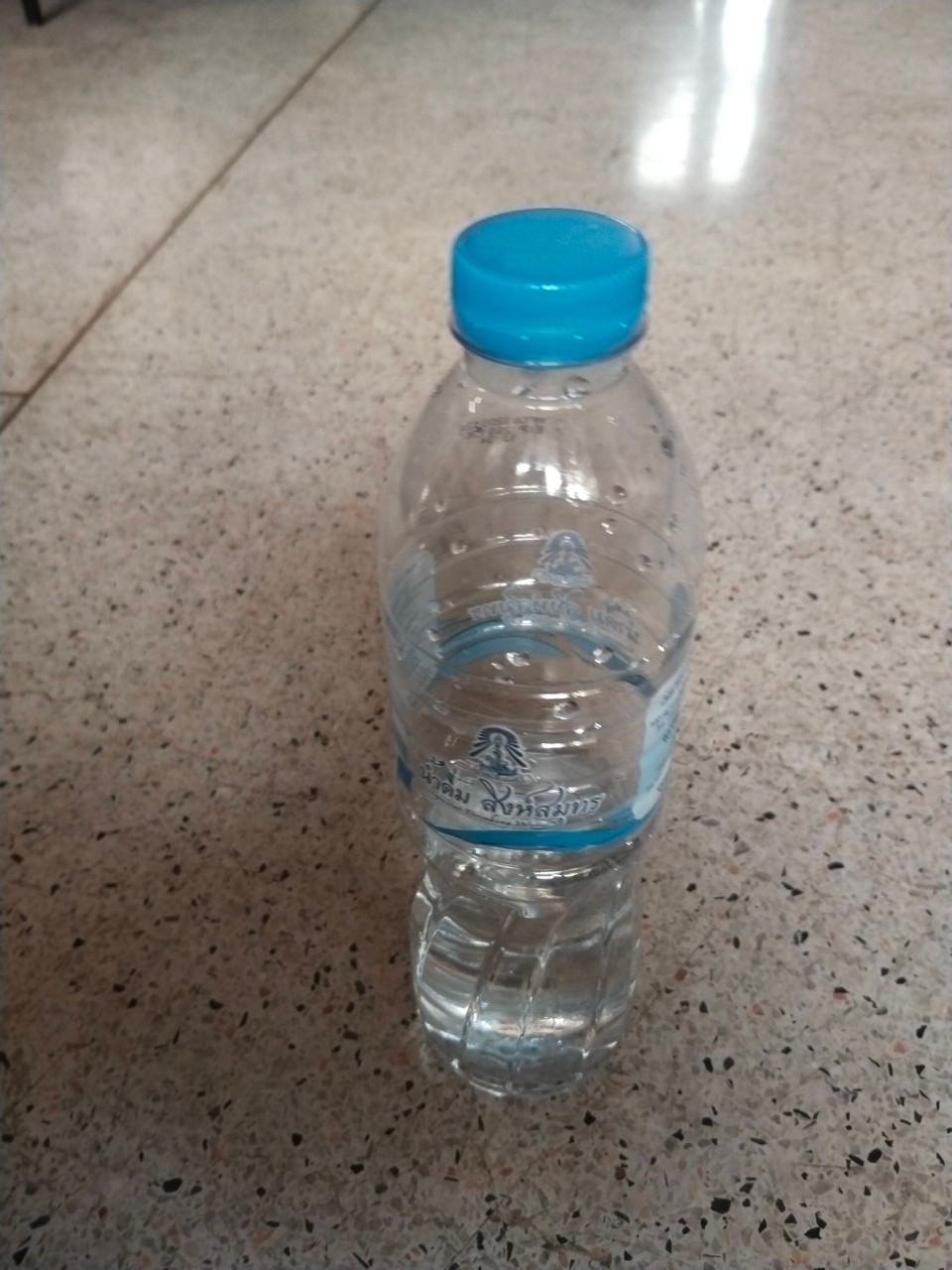 Pemika - Roboflow Universe