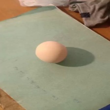 Egg Detection Classification Model by Egg