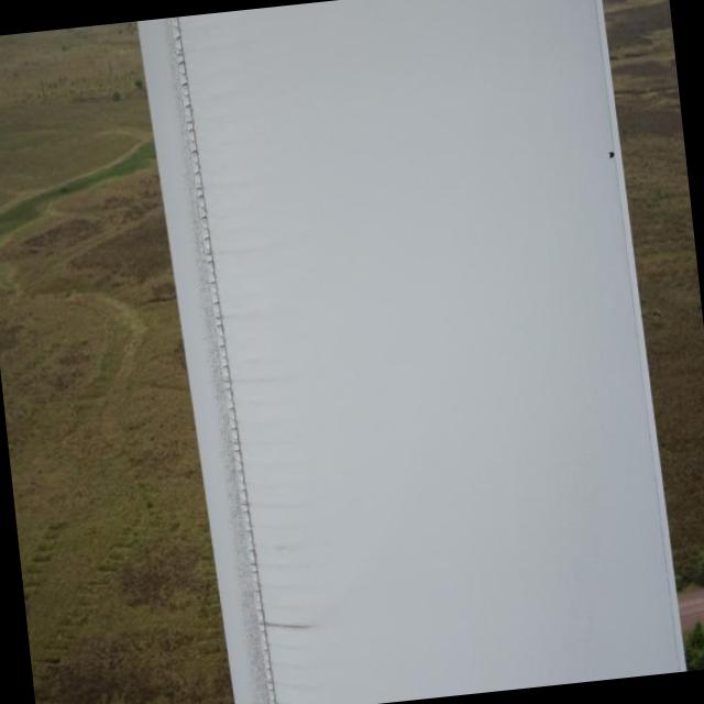 FIn Object Detection Model by PEE