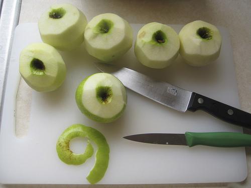 COCO Object Detection Model by test