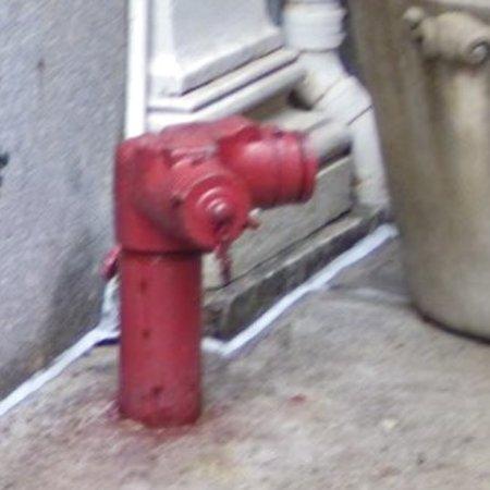 fire hydrant Object Detection Dataset by GreenZone