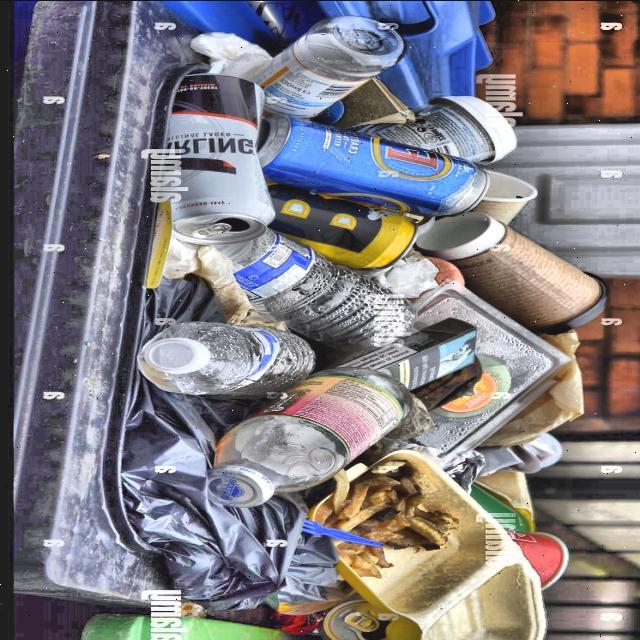 Validation Dataset Semantic Segmentation Dataset By Capstone