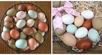 How to Use the eggs Object Detection API