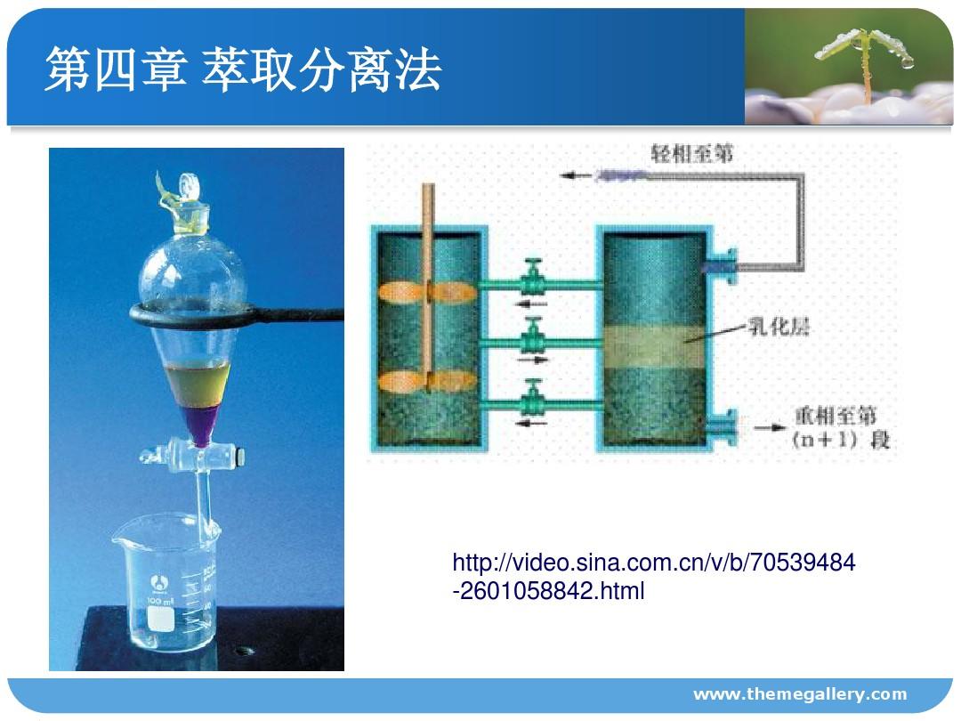 萃取分层 Instance Segmentation Model by new-workspace-0bgj4