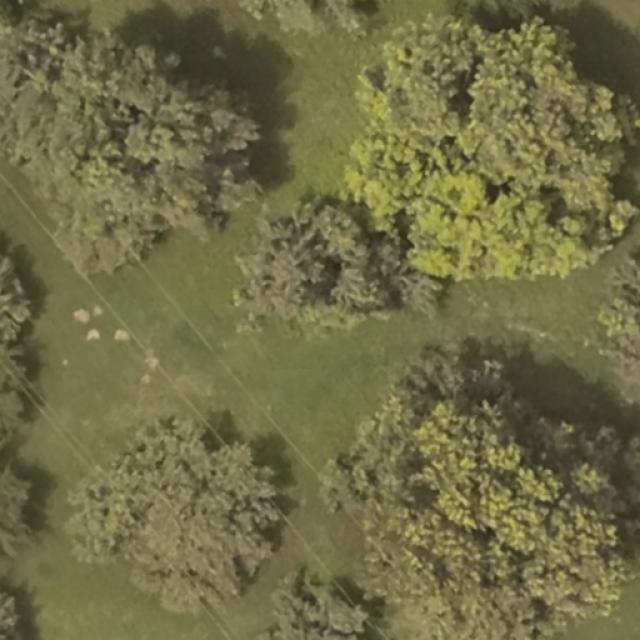 random Object Detection Dataset by FYP