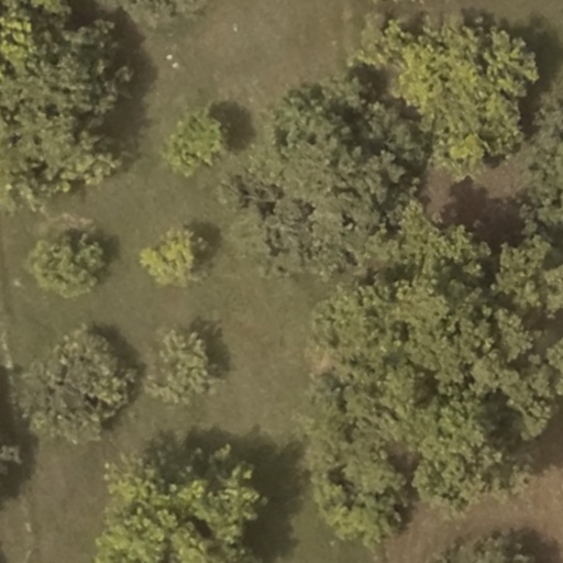 Dataset Without Augmentation Disease Object Detection Dataset And Pre