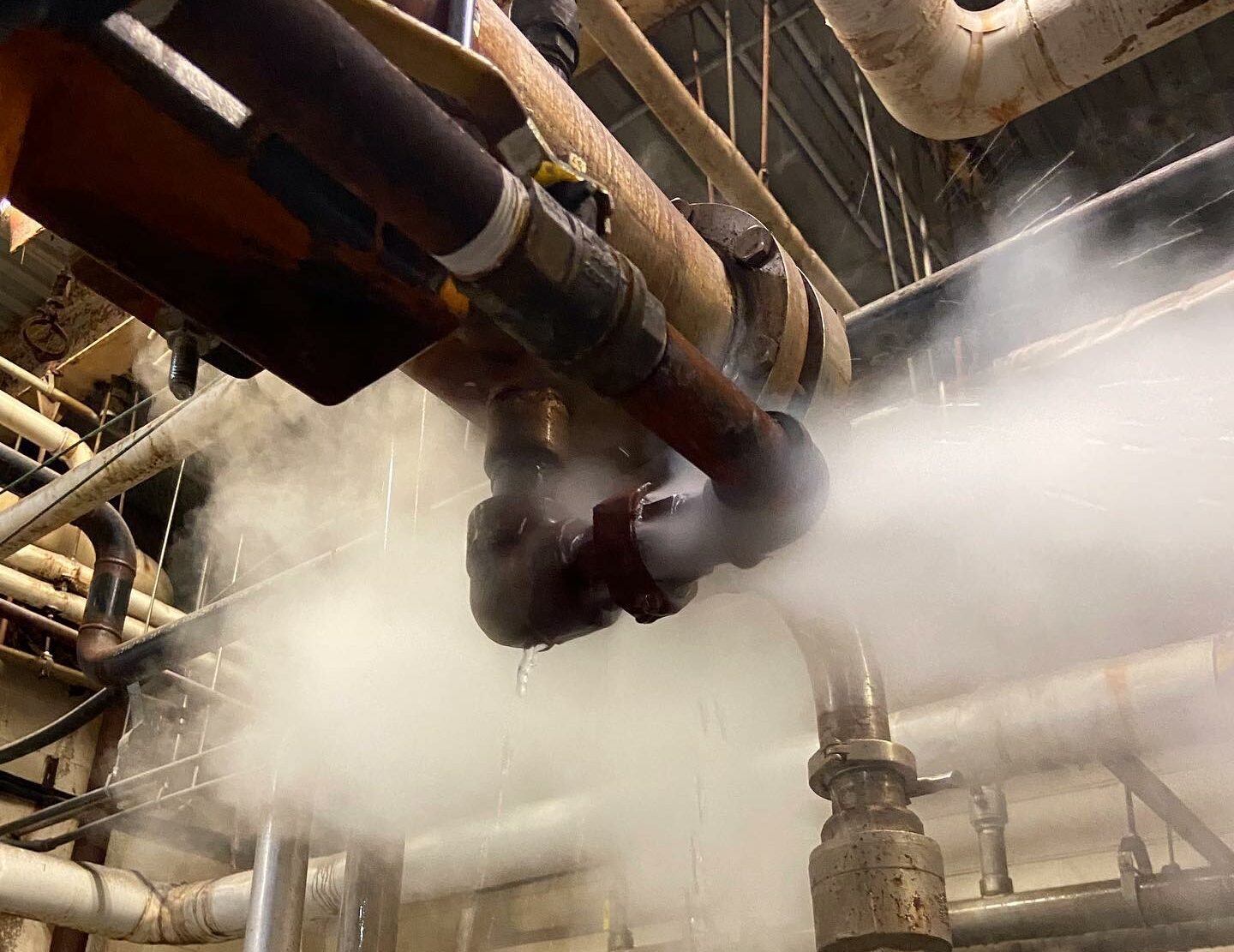 Model2 Object Detection Dataset by Olesia Kovalenko