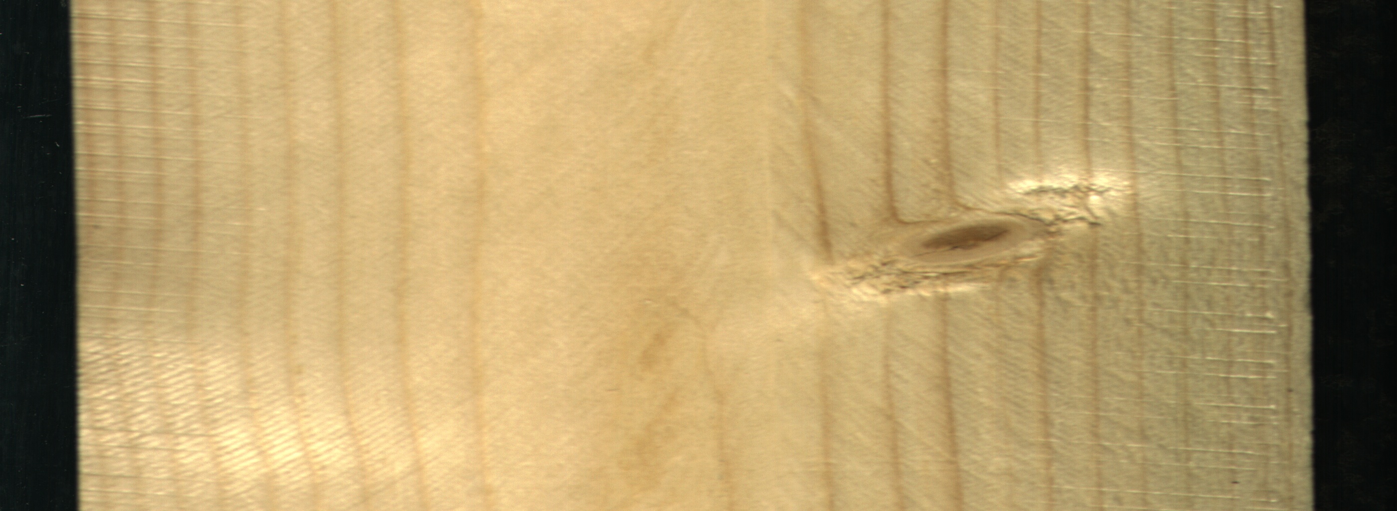 Wood D Classification Dataset by school