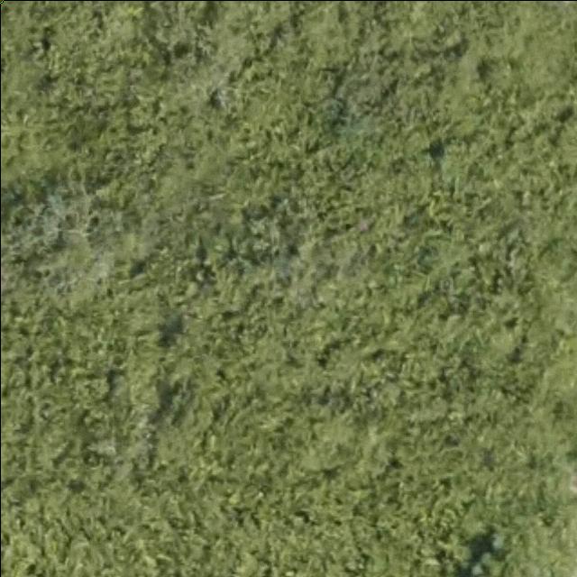 Segmentasi Instance Segmentation Dataset and Pre-Trained Model by YoloSawit