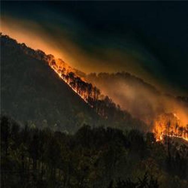 Forest Fire Detection Object Detection Dataset by LuisSwine Wild
