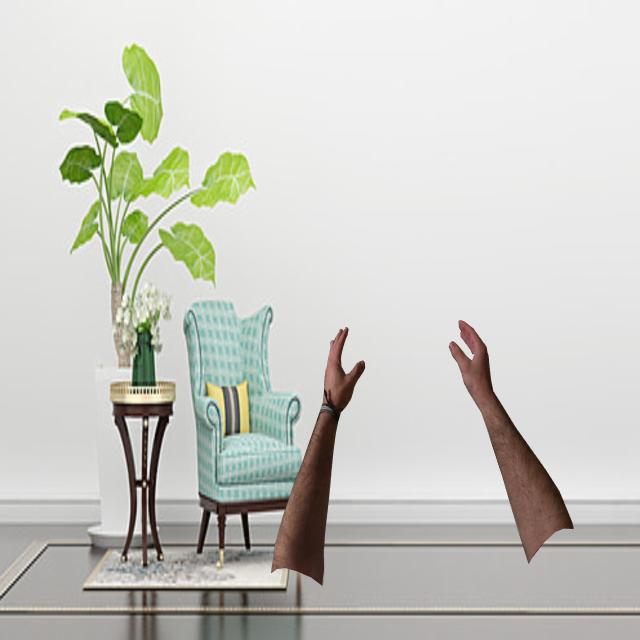 tentative-de-vol Object Detection Model by Esprit