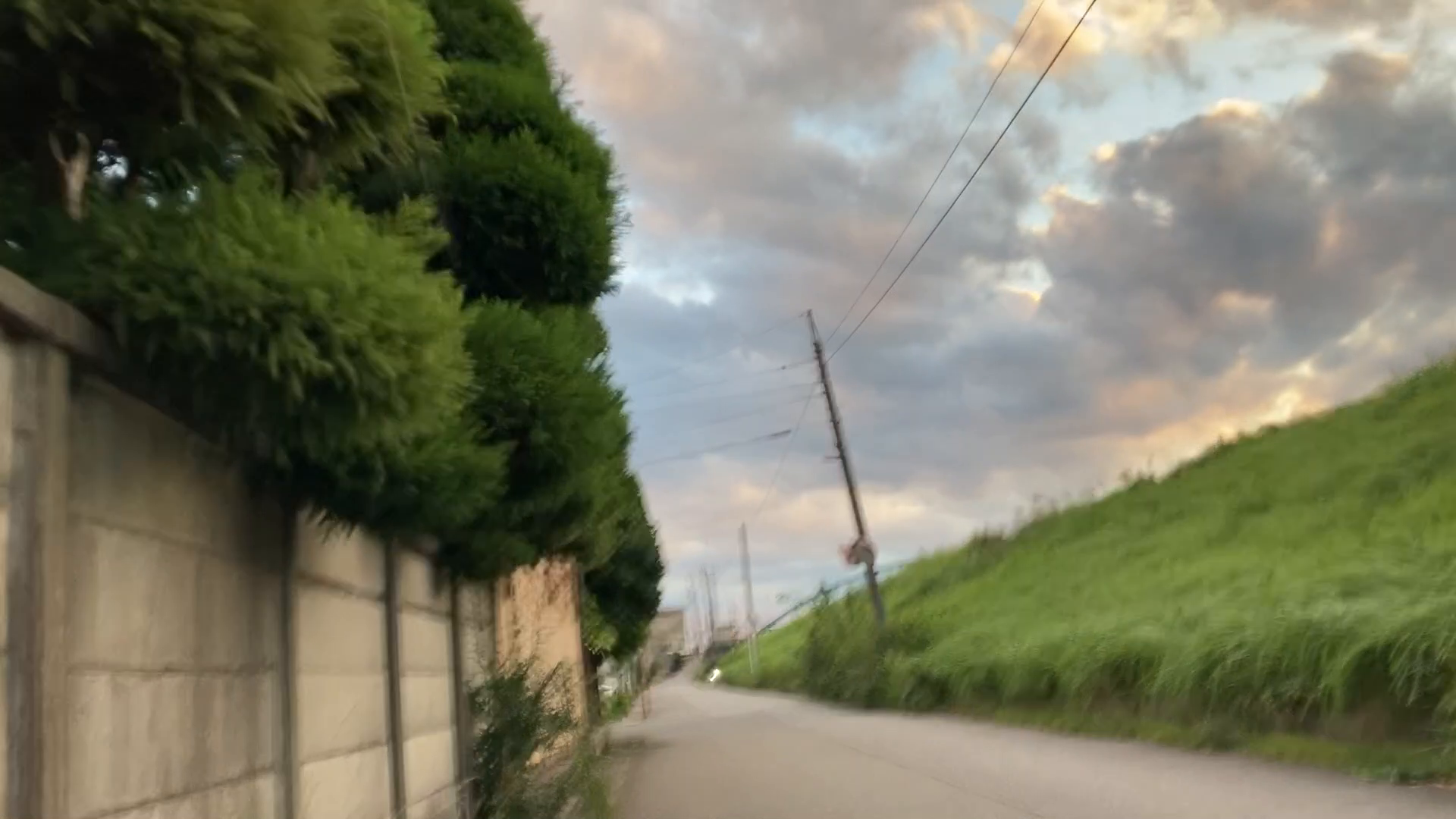 pole,sign Object Detection Dataset and Pre-Trained Model by 20240919sign