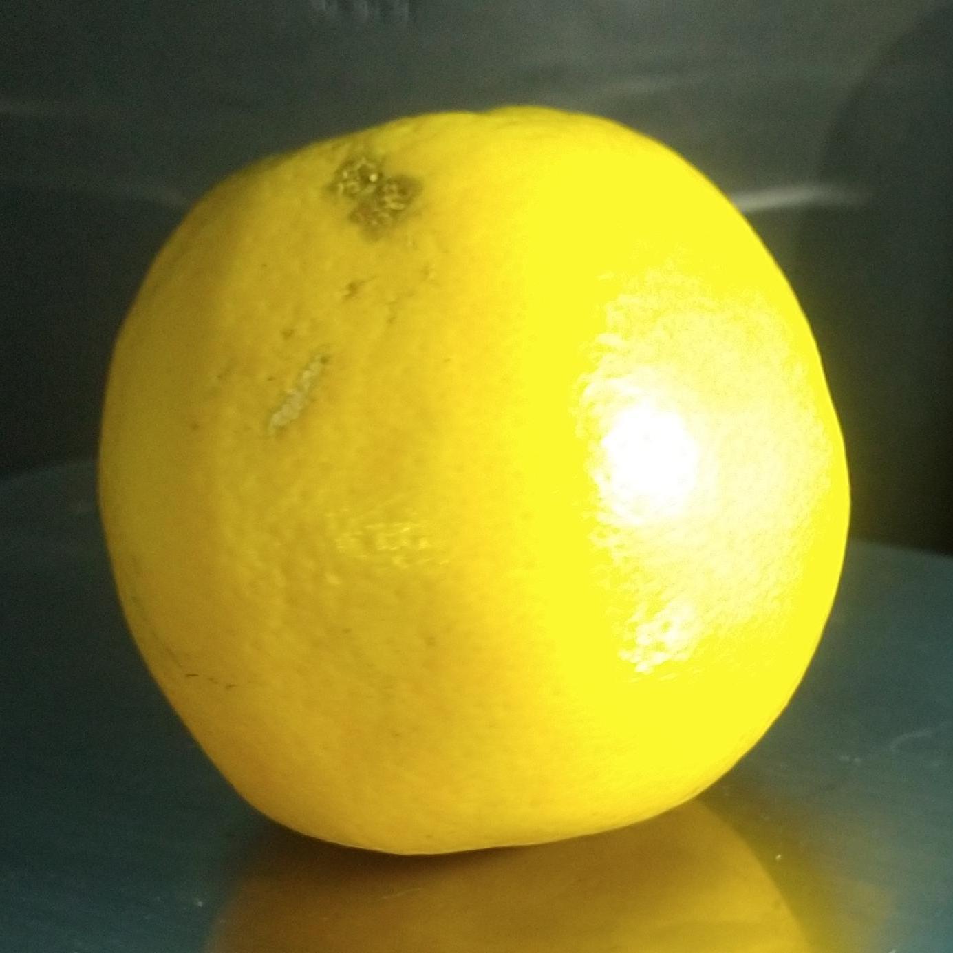 Quality Citrus Classification Classification Model By Artificial Vision