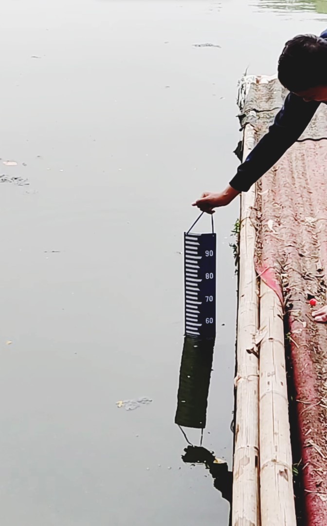 water detection Object Detection Model by isue