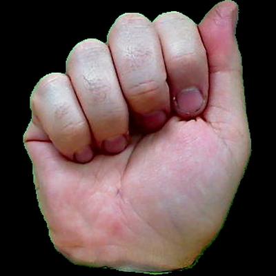 American Language Object Detection Model by sign language