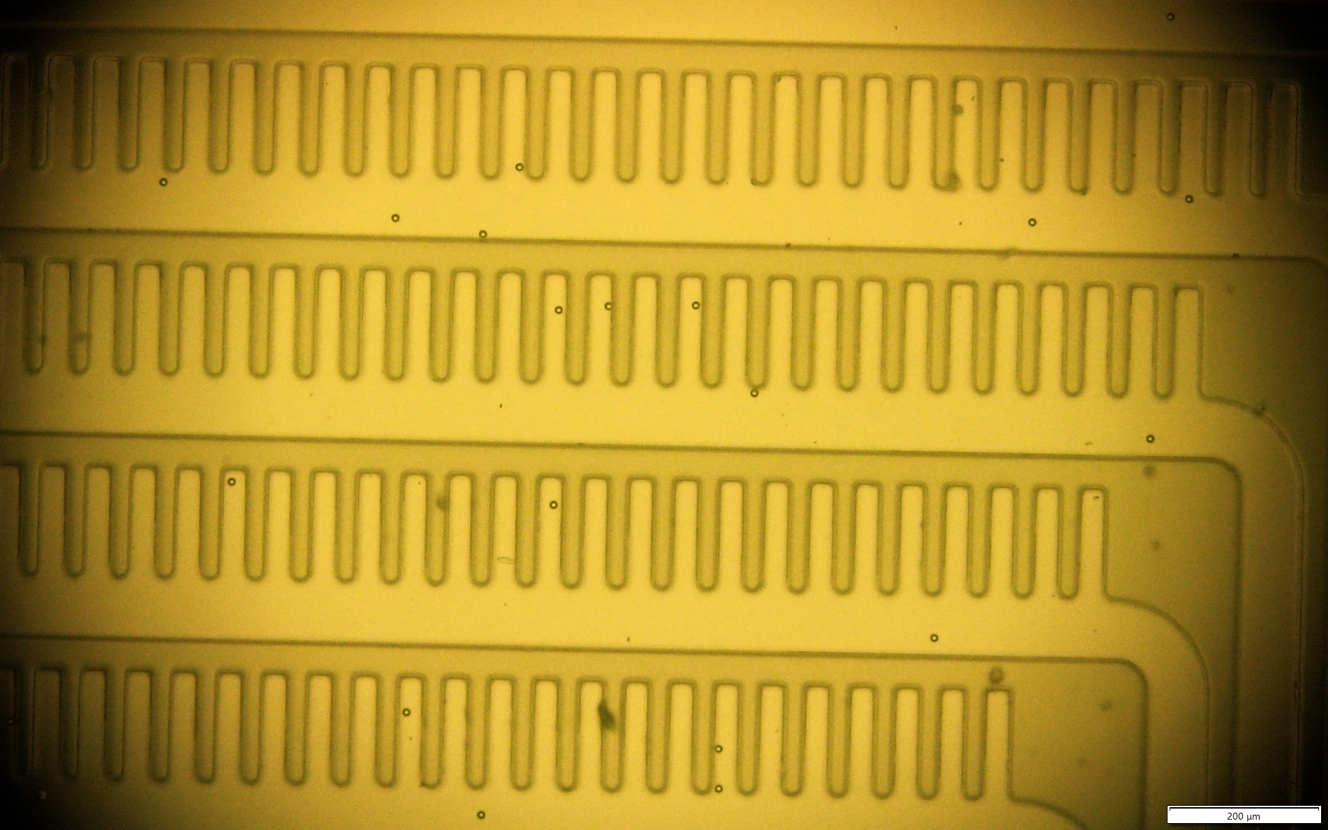 oet_psb Object Detection Dataset by scratch