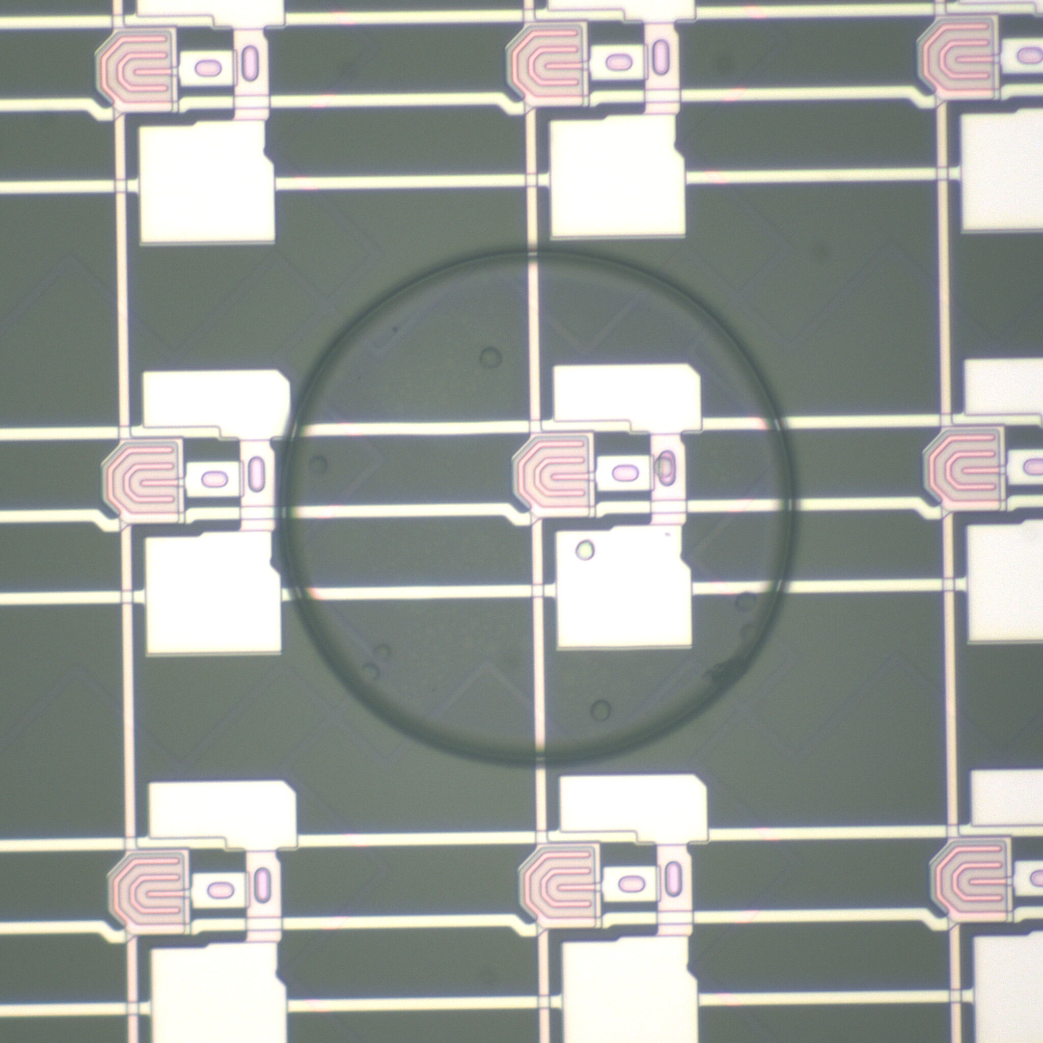 hela_hcerepic_detect 2 Object Detection Dataset by scratch