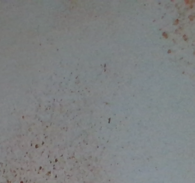 Realsense-Rust Object Detection Dataset by UWSMARTSLabRobotVision