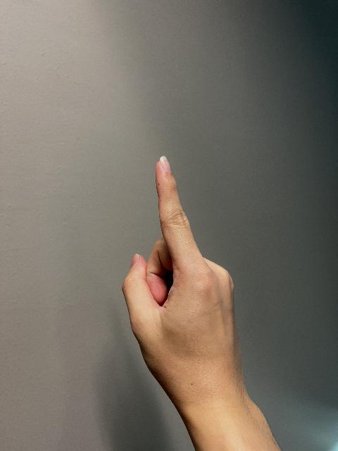 fingers-count Object Detection Dataset by bessem