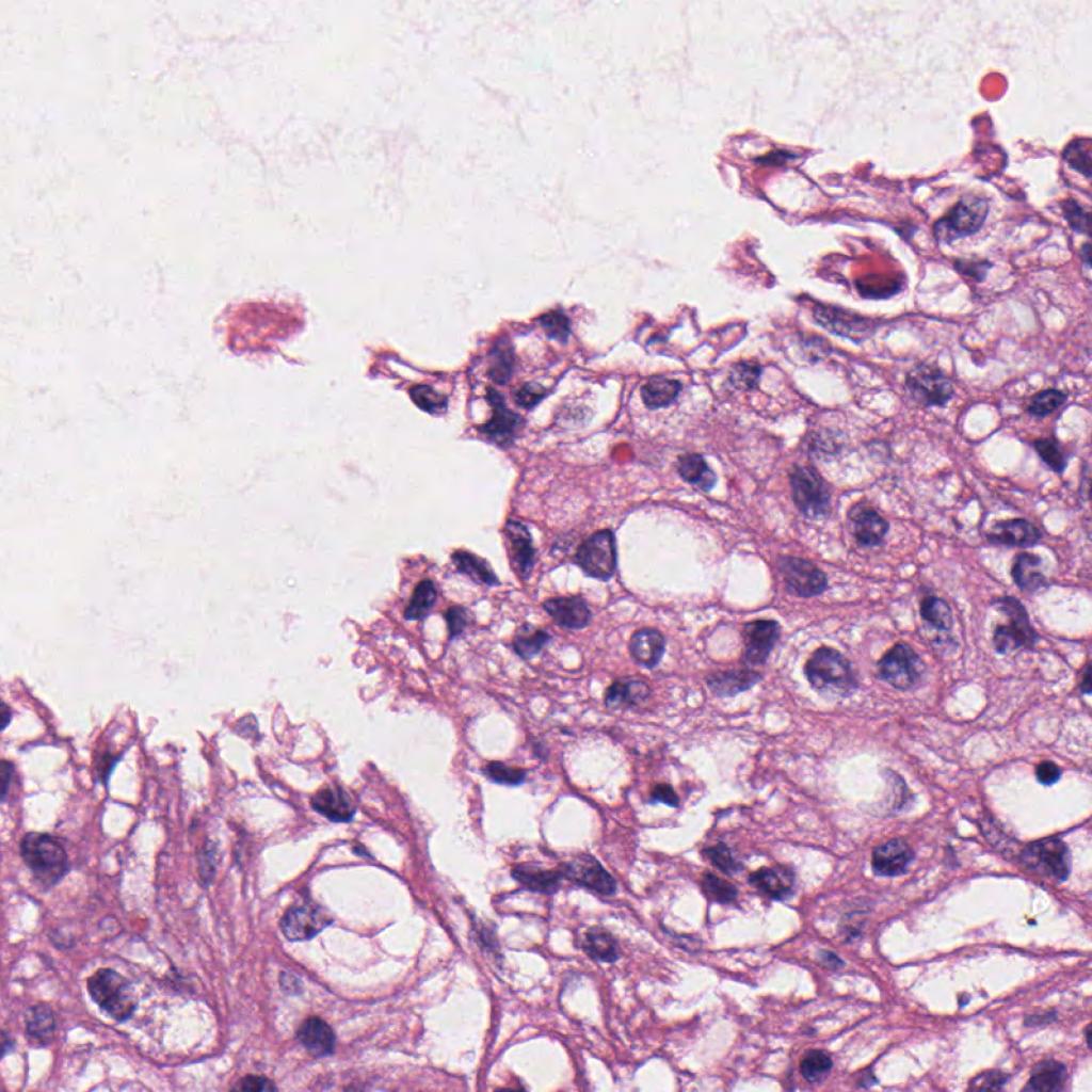 Ocel Object Detection Dataset By Pusan National University