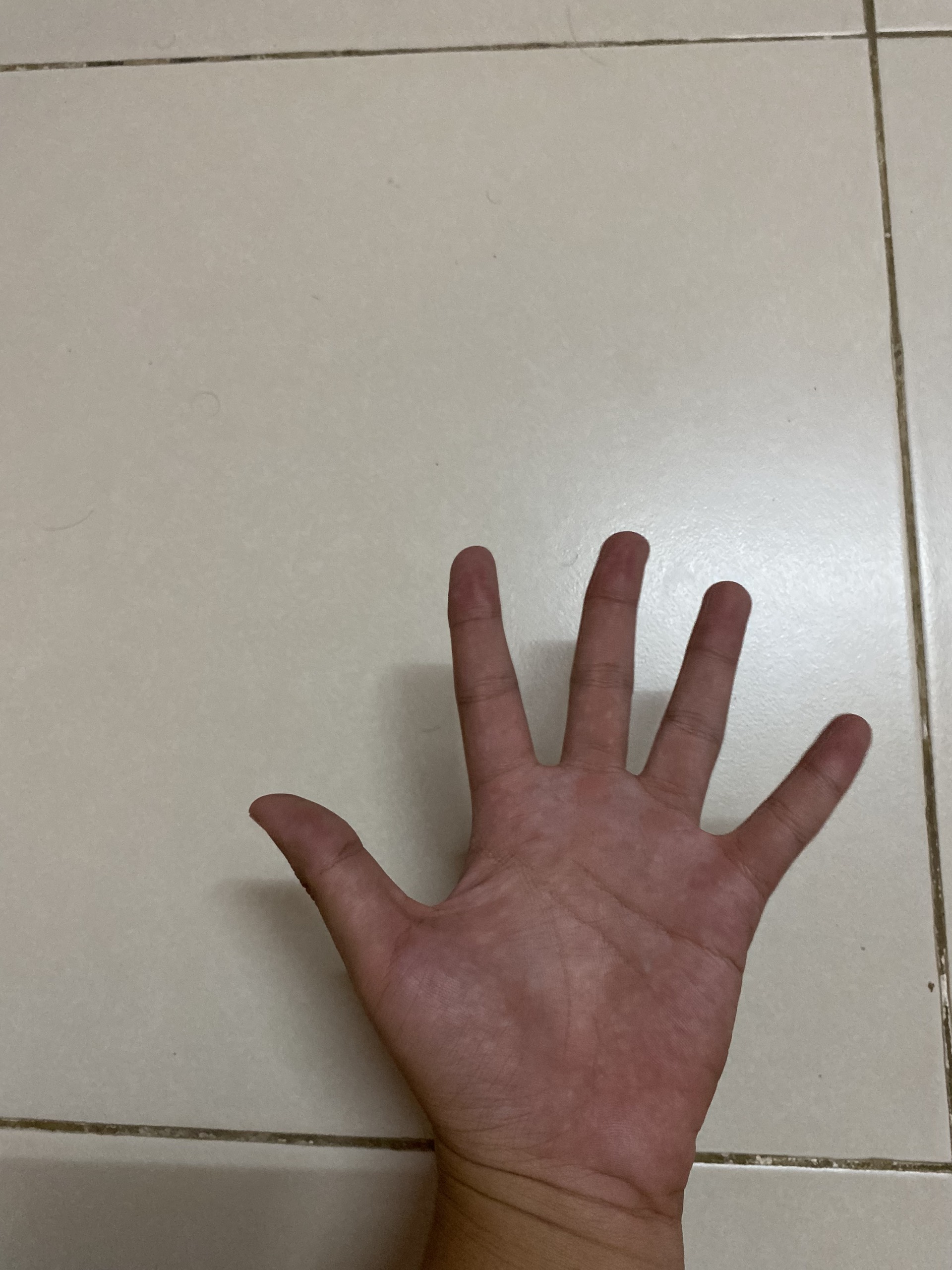 MayBayKhongNguoiLai2 Object Detection Dataset and Pre-Trained Model by ...