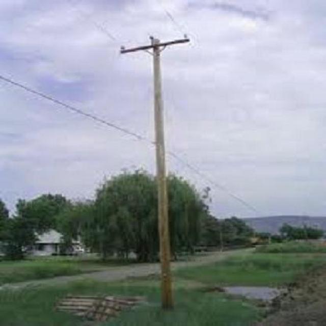 Pole Detection Object Detection Model By Test