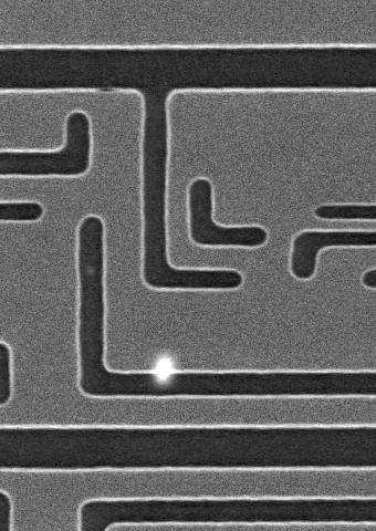 YOLO location - Roboflow Universe