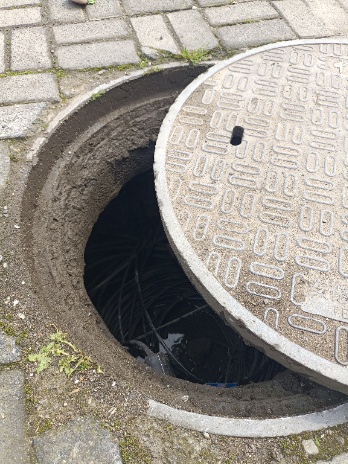 123 Object Detection Dataset by manhole covers