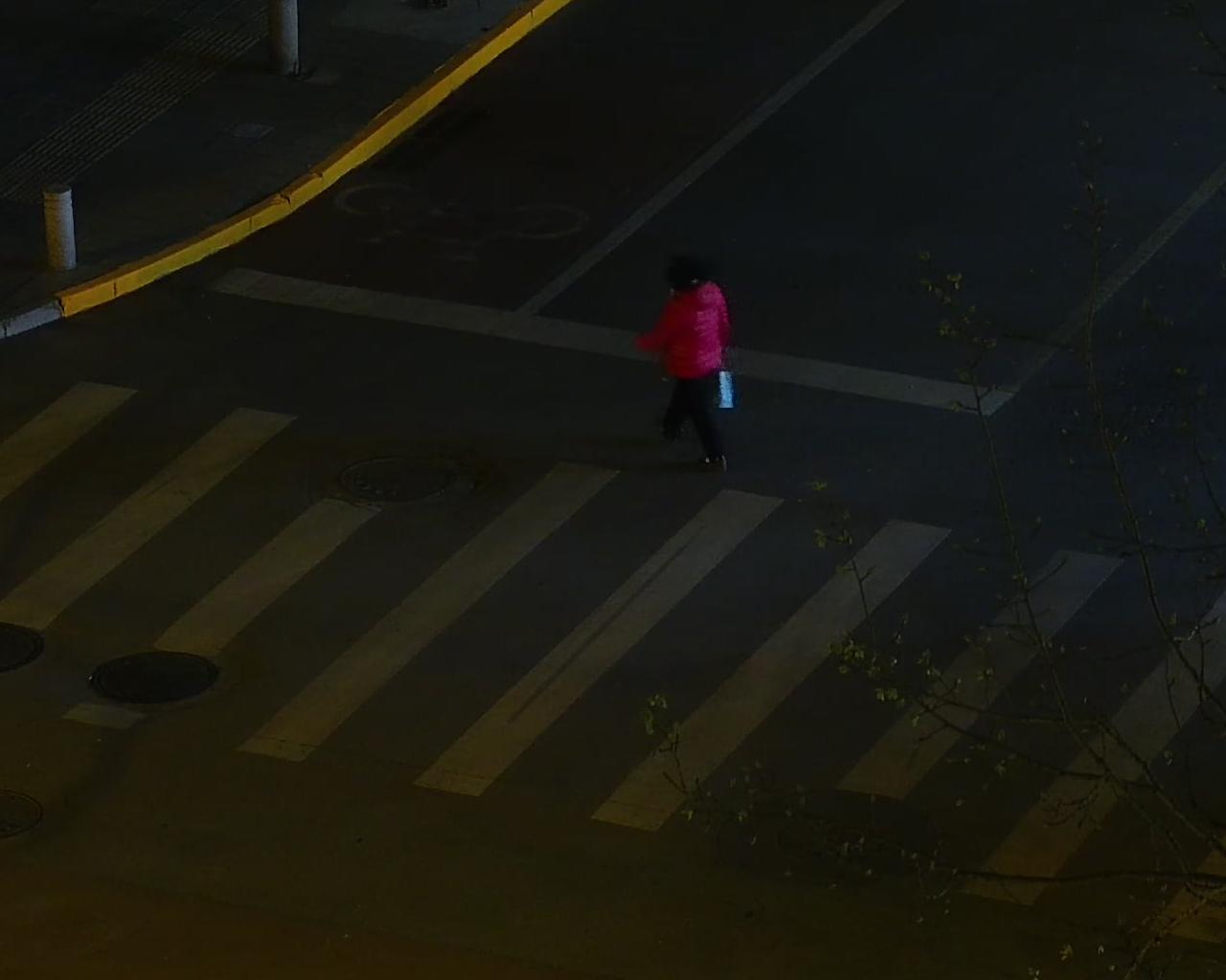 yolov5 Object Detection Dataset by yolov5