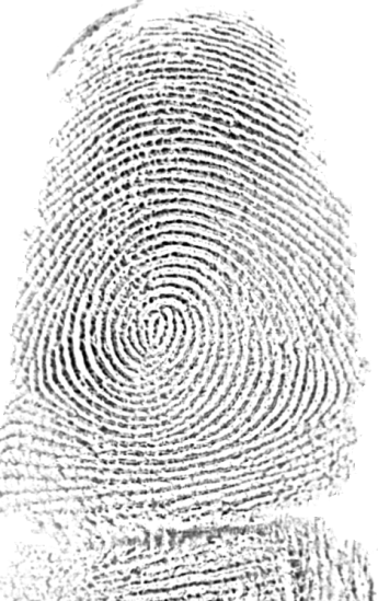 01_fingerprint_core_delta Object Detection Dataset by IOTProject