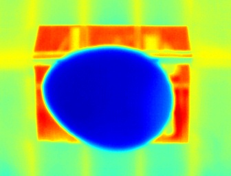 q_eggs Instance Segmentation Dataset by BPMfilesDL