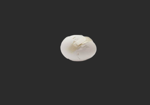 Egg Crack Detection Object Detection Dataset And Pre Trained Model By