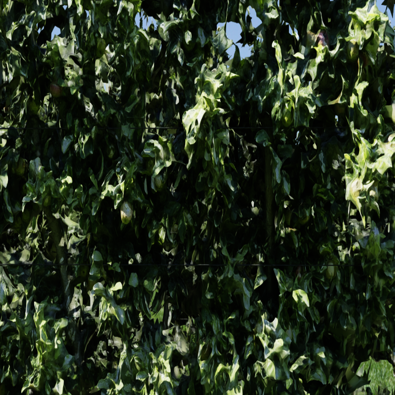 wire-tatura(just wire) Instance Segmentation Dataset and Pre-Trained Model by Monash University